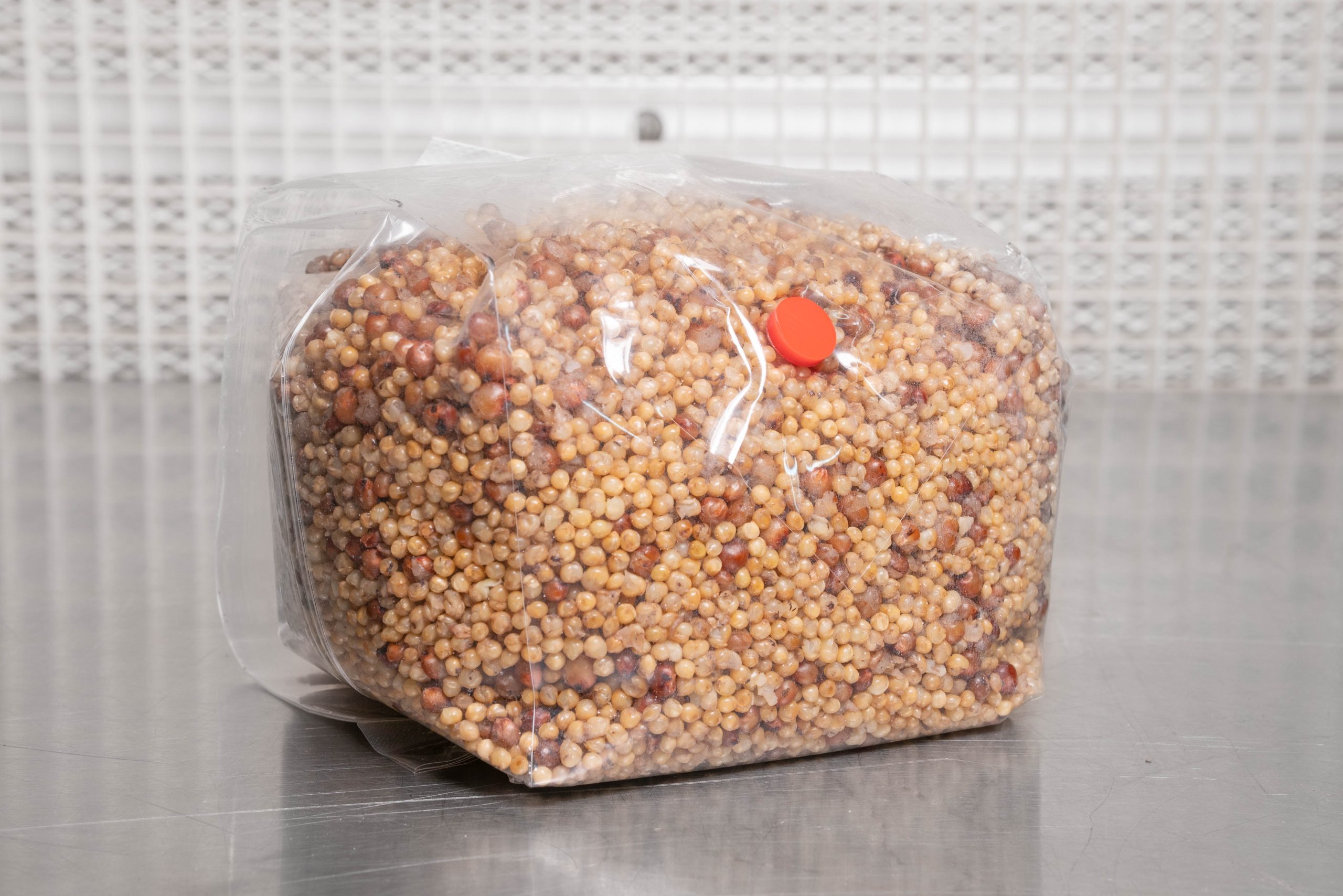 Premium "Traditional" Grain Spawn | Fresh Cultivators