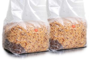 Home | Fresh Cultivators